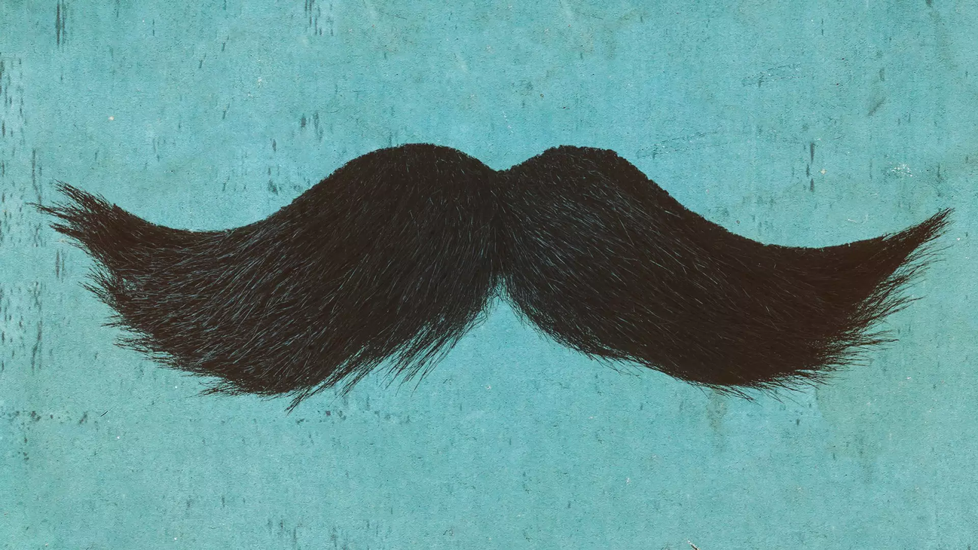 بر اساس دادههای جستجوی گوگل، محبوبترین سبک Movember 'Stache در هر ایالت