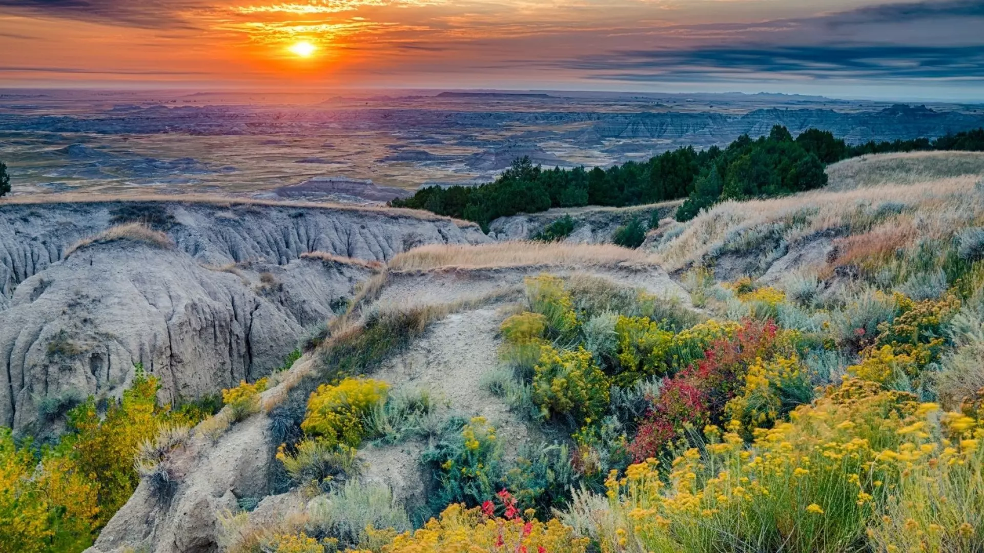 Ang 'Meth' sa South Dakota. Anaa Na Kami' Ang Kampanya sa Ad Gikataw-an Sa Tibuok Nasud