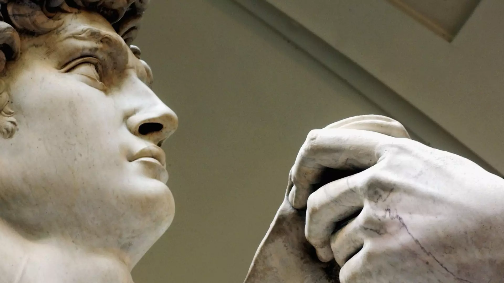 4 kragtige sakelesse van Michelangelo se David