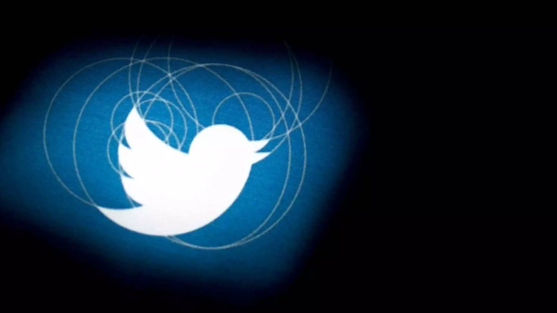 23 feeds do Twitter de leitura obrigatória para 2015