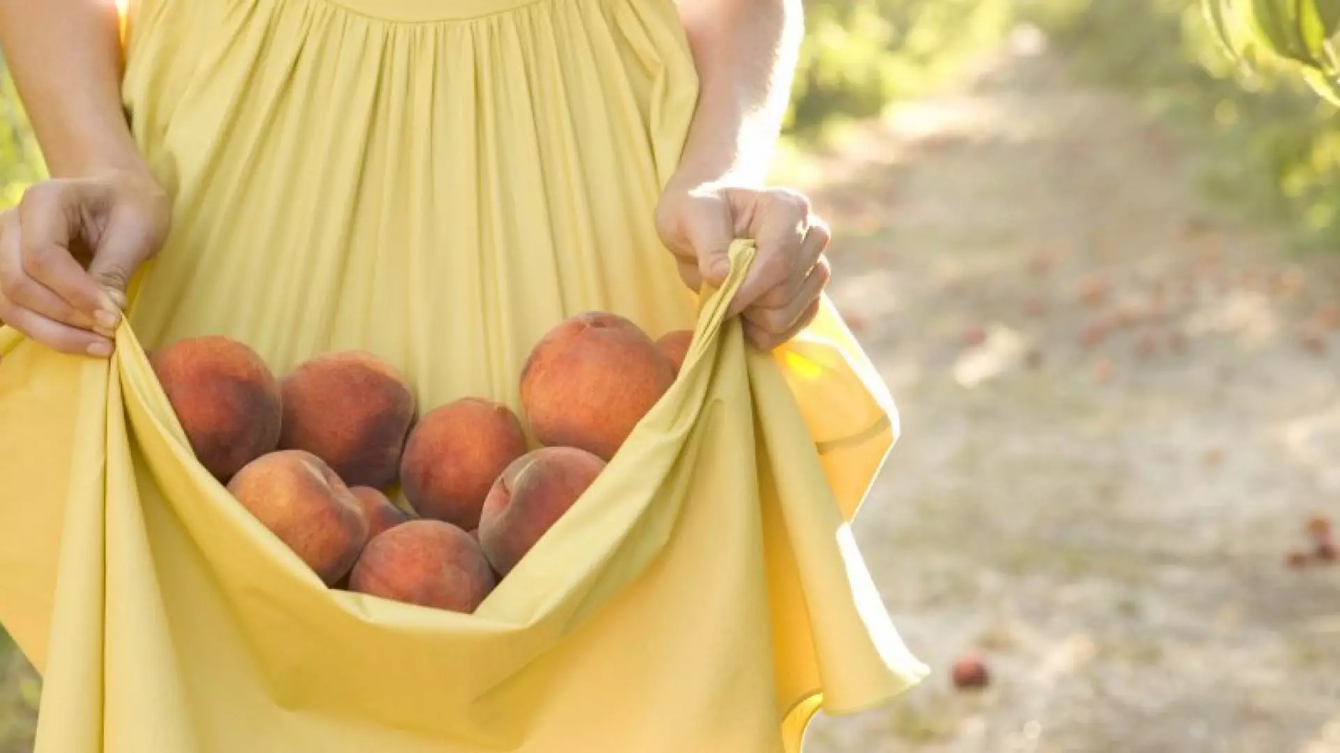 Kawan Permulaan Ini Ingin Menjadikan Aurat Wanita Bau Seperti Buah-buahan yang Rasak