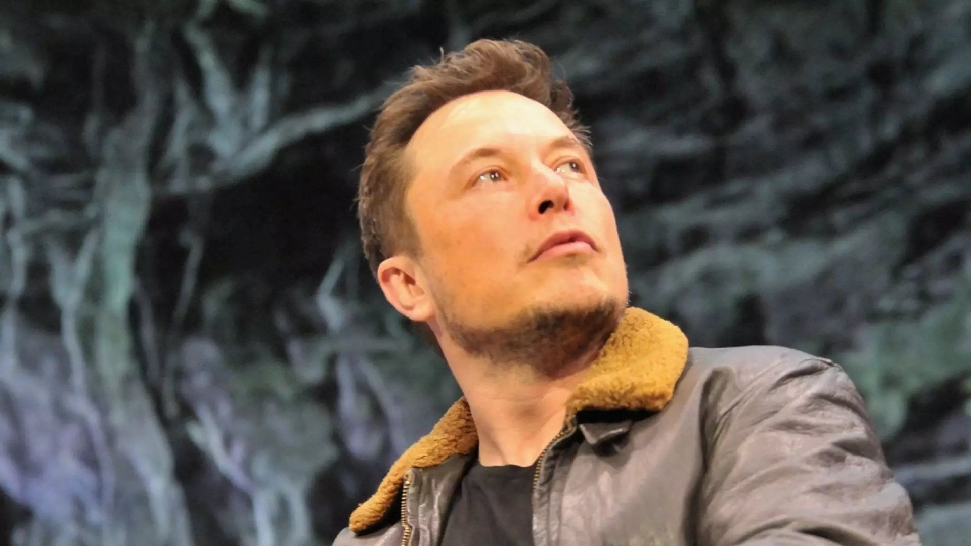 それは、イーロン・マスクがすべての新入社員で探しているものを明らかにするために正確に5つの言葉を取りました（そしてそれは大学の学位ではありません）