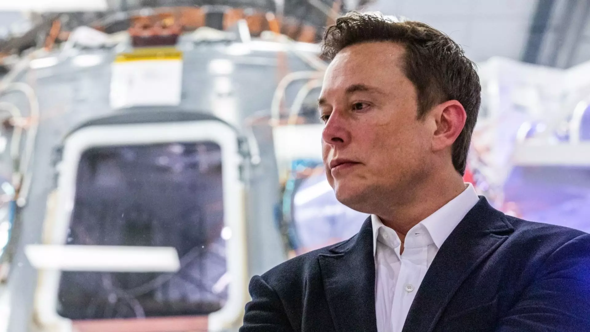 Elon Musk het pas $1 miljoen geskenk om 'n YouTuber te help om 20 miljoen bome te plant