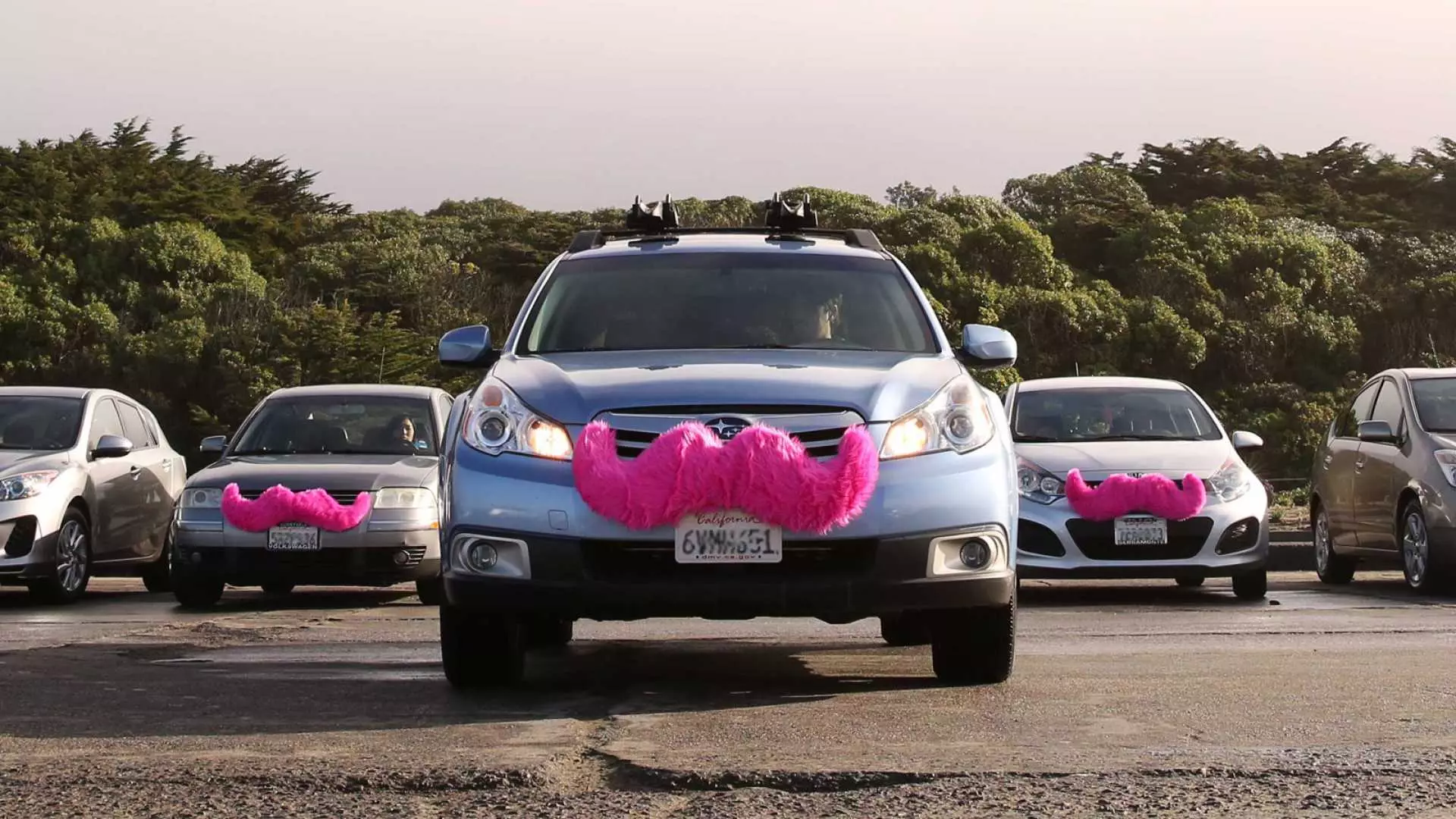 A Lyft's Pink Bajusz eredete és fejlődése