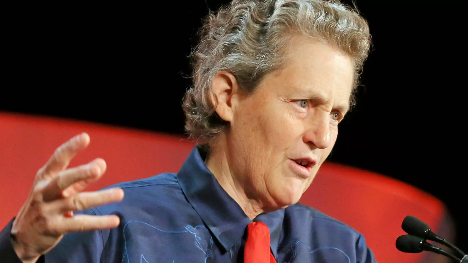 Temple Grandin aan