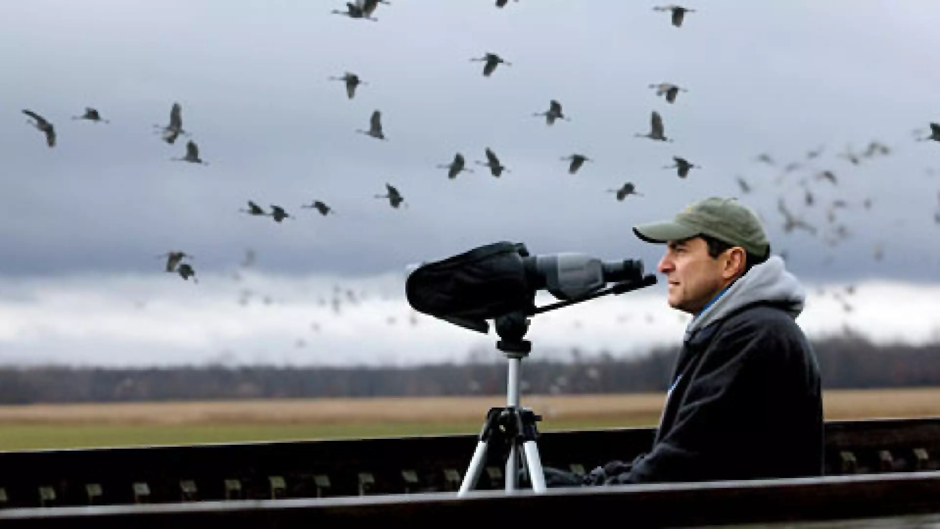 Pasje: Vernon LaVia, obserwator ptaków