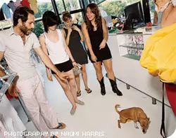 Dov Charney، آمريڪي لباس