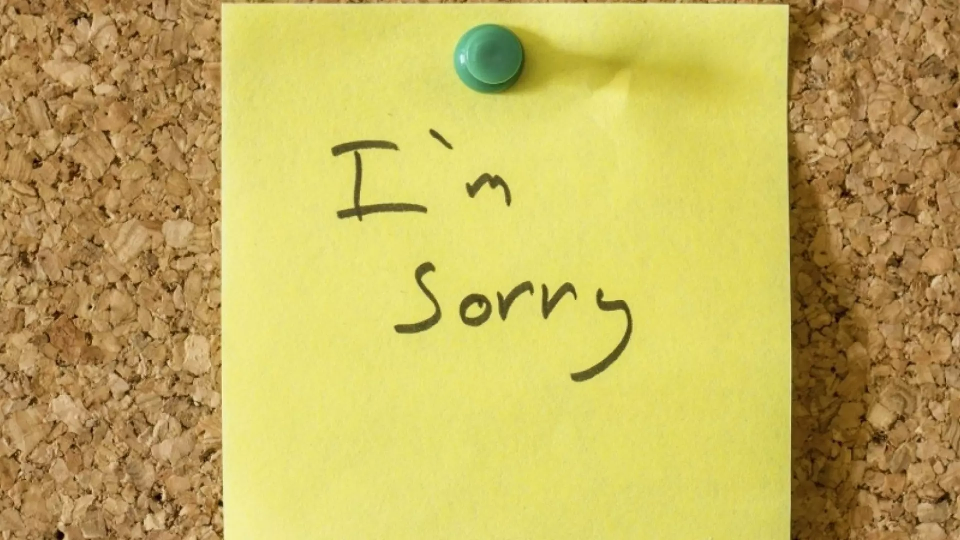 8 passos molt efectius per demanar disculpes i fer-ho bé