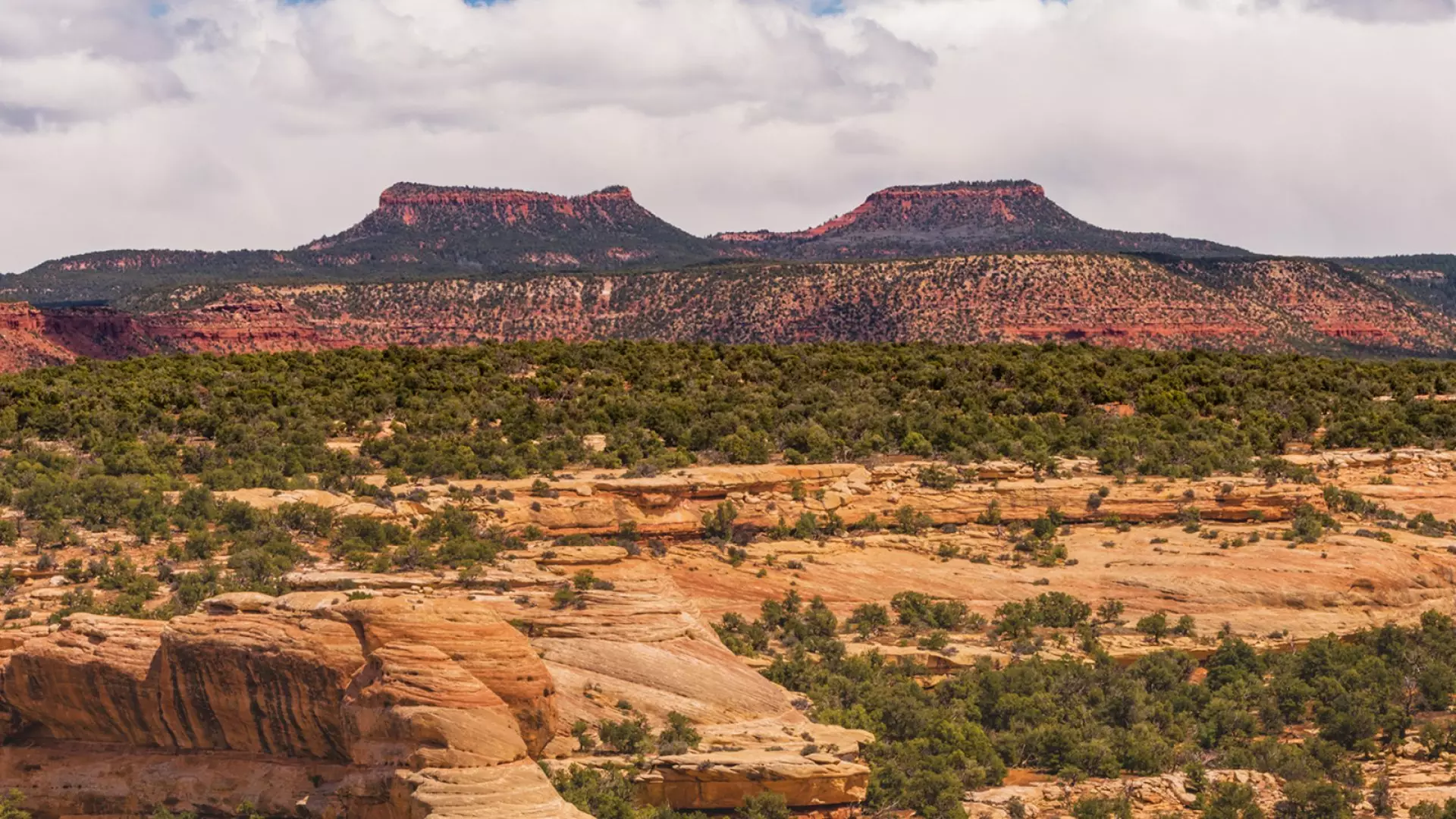 Patagonië zei samen met de North Face en REI dat ze de jaarlijkse Outdoor Retailer-beurs zouden boycotten die gewoonlijk in Salt Lake City wordt gehouden na het besluit van Trump om Bears Ears National Monument te verkleinen (hier afgebeeld).