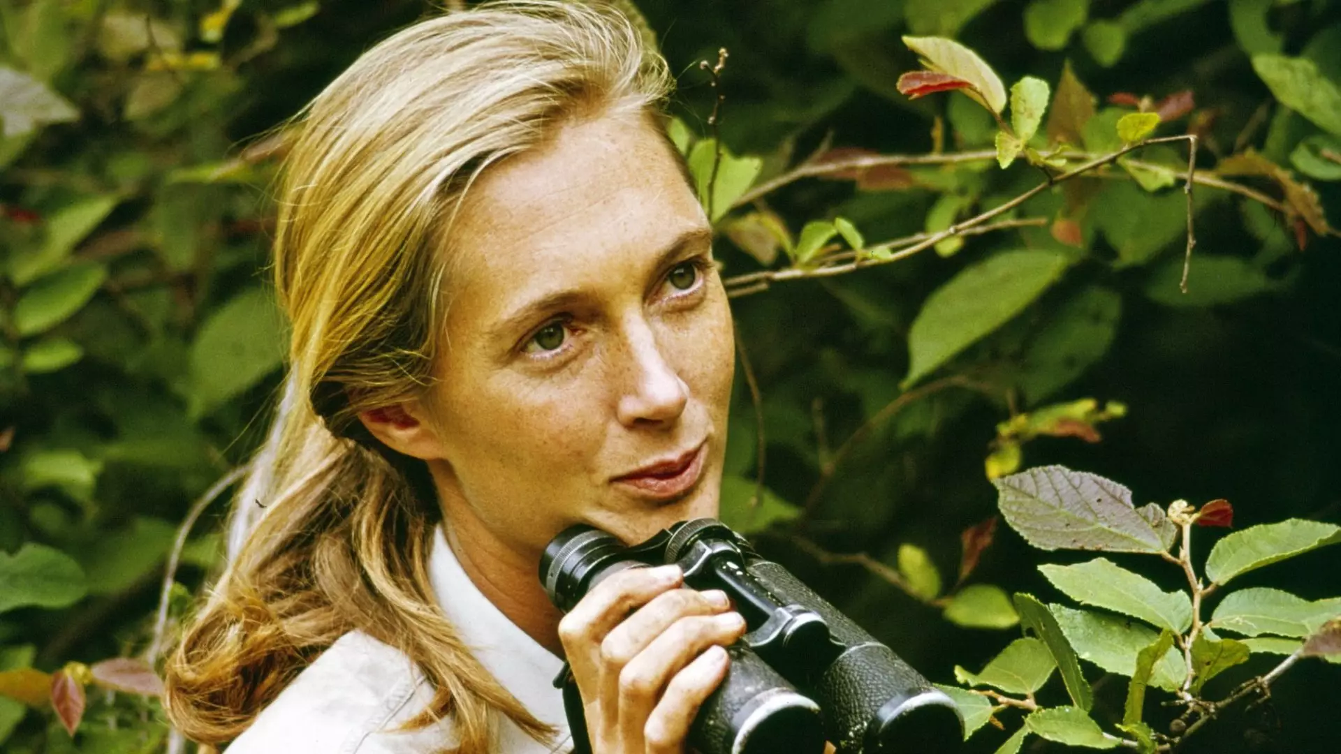 Ihe ịga nke ọma abụghị usoro. Dị ka Jane Goodall na-akụzi, ọ bụ mgbanwe nke àgwà