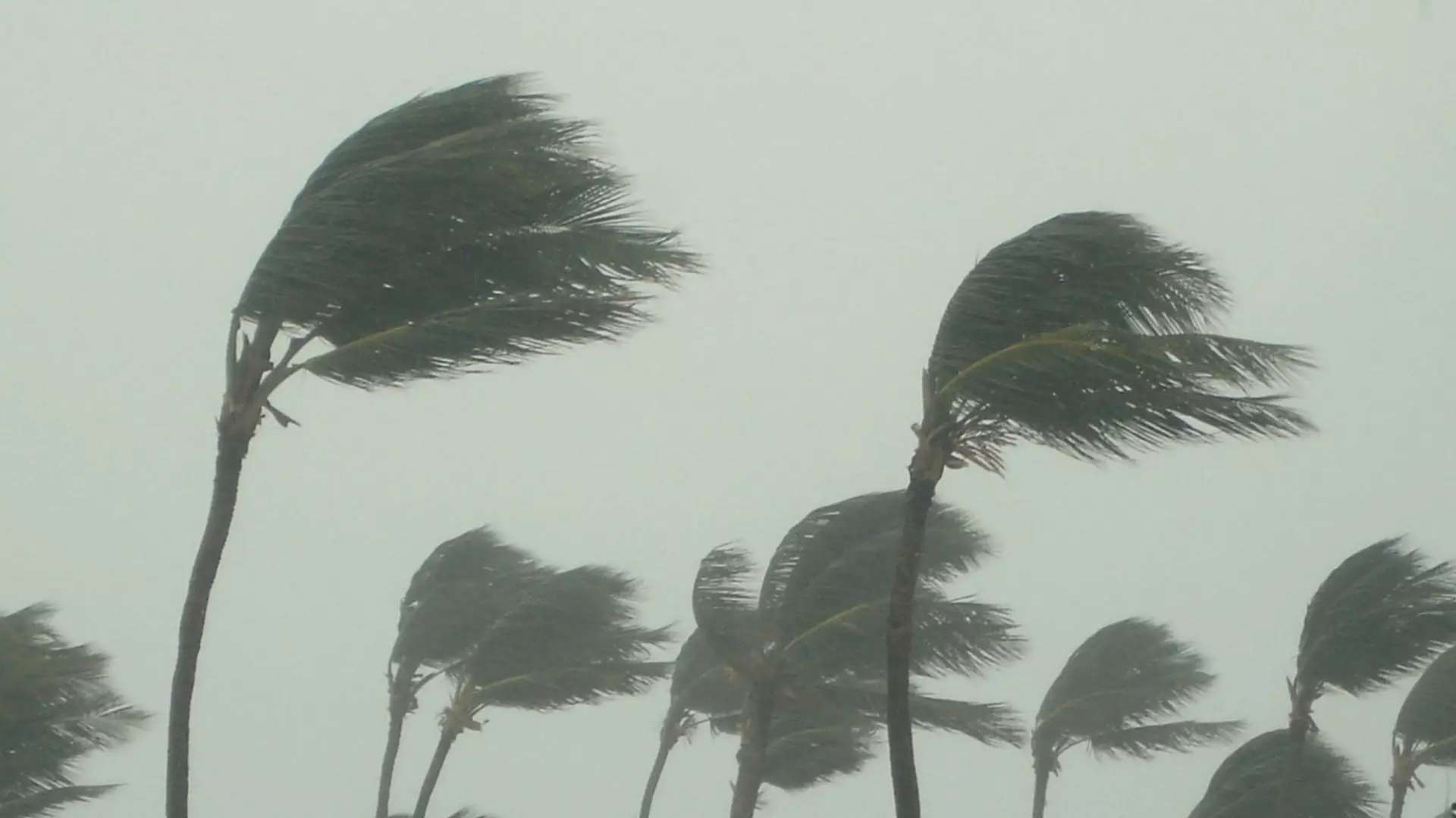 Raha tompona orinasa any Florida ianao dia ataovy izao ireto zavatra 5 ireto