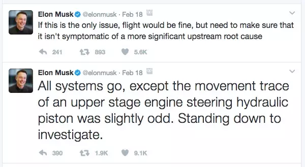 Elon Musk Vulnerability