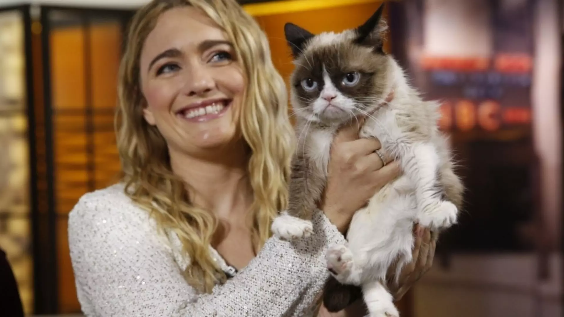 Como Grumpy Cat se converteu nun negocio legítimo