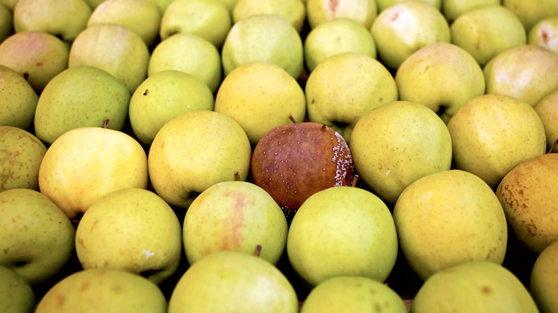 Նետեք վատ Apple-ի աշխատակցին