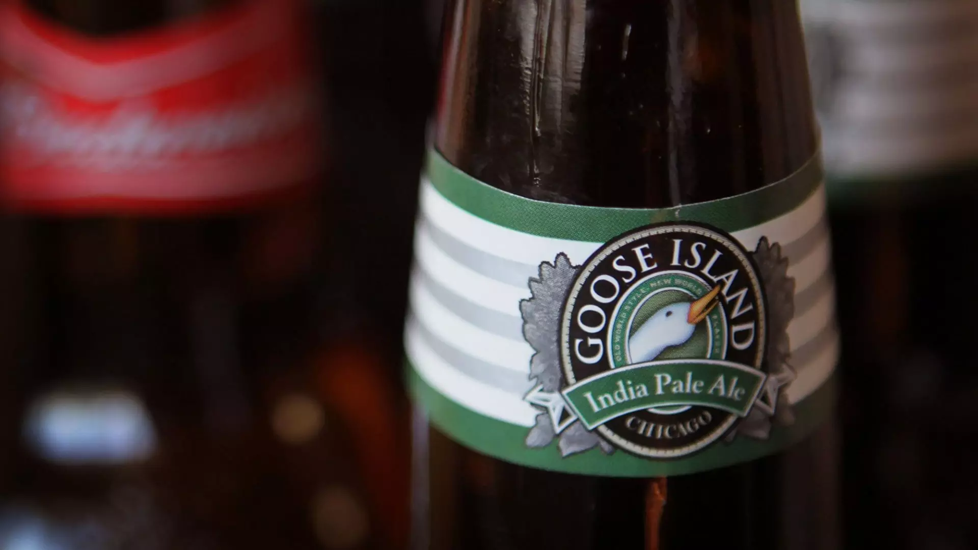 Come la Goose Island Beer Company ha avuto successo nell'industria competitiva della birra artigianale