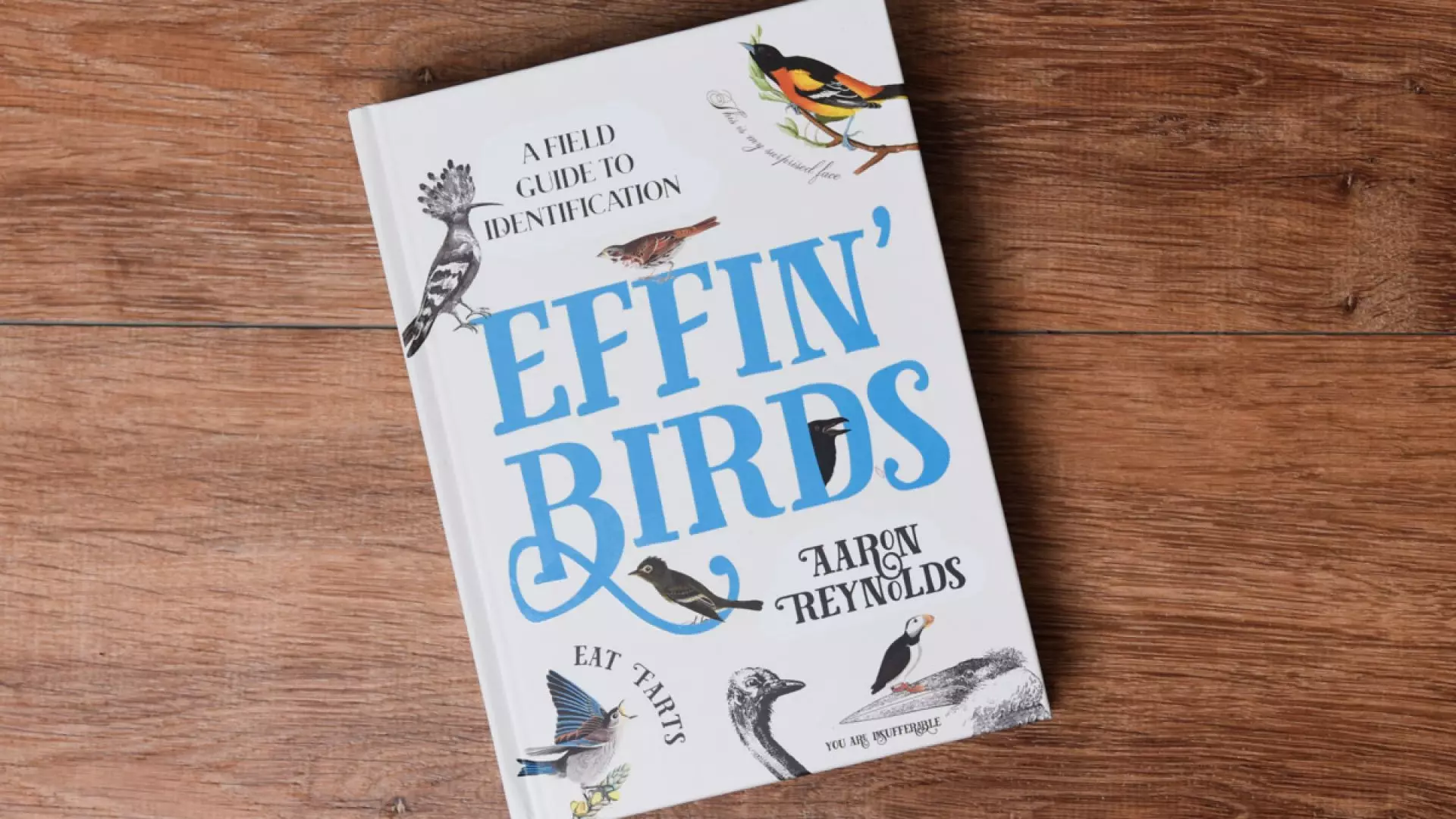 Effin' Birds-ek esaera zintzoekin uztartuta dauden txori geldiak baino gehiago eskaintzen ditu: sare sozialetan arrakasta izateko eredu errepikagarria eskaintzen du.