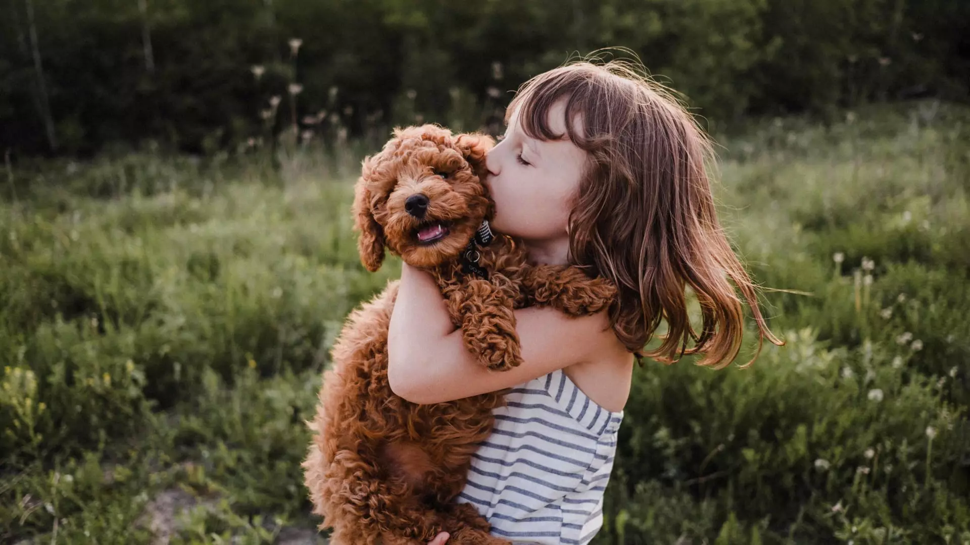 O segredo contra-intuitivo para criar filhos gentis