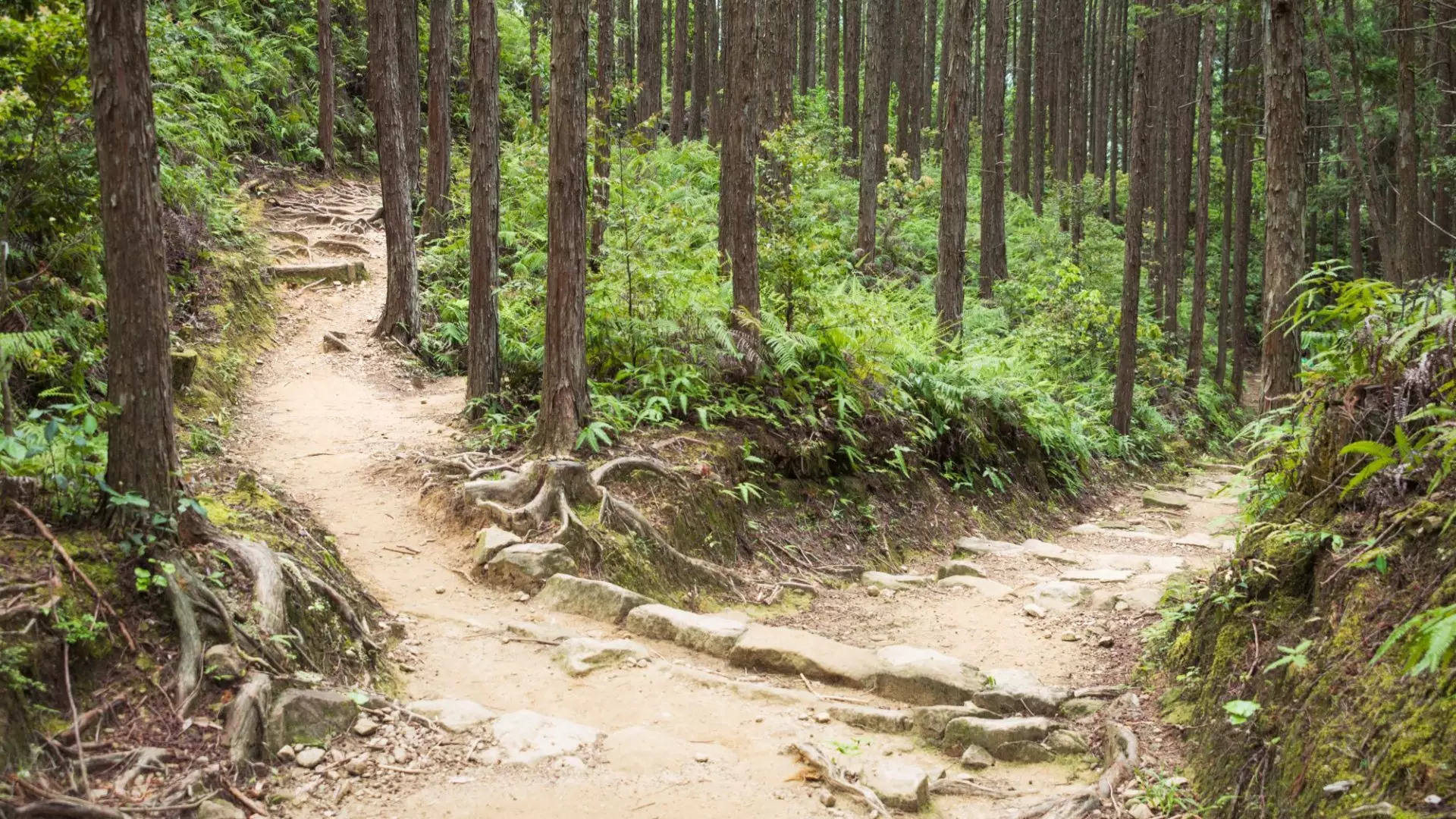 Usodna napaka uporabe podatkov za sprejemanje velikih odločitev