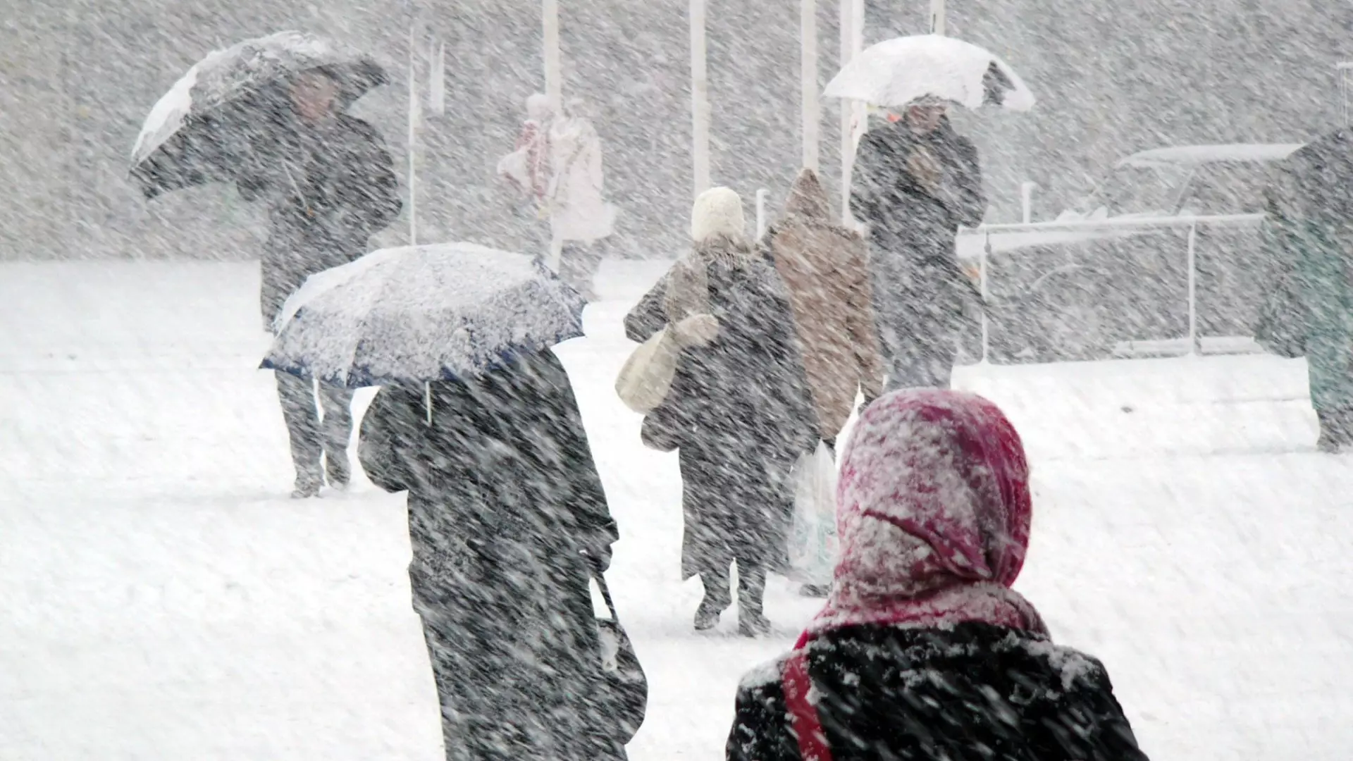 De jas fan 'e takomst: Bring op 'e winter