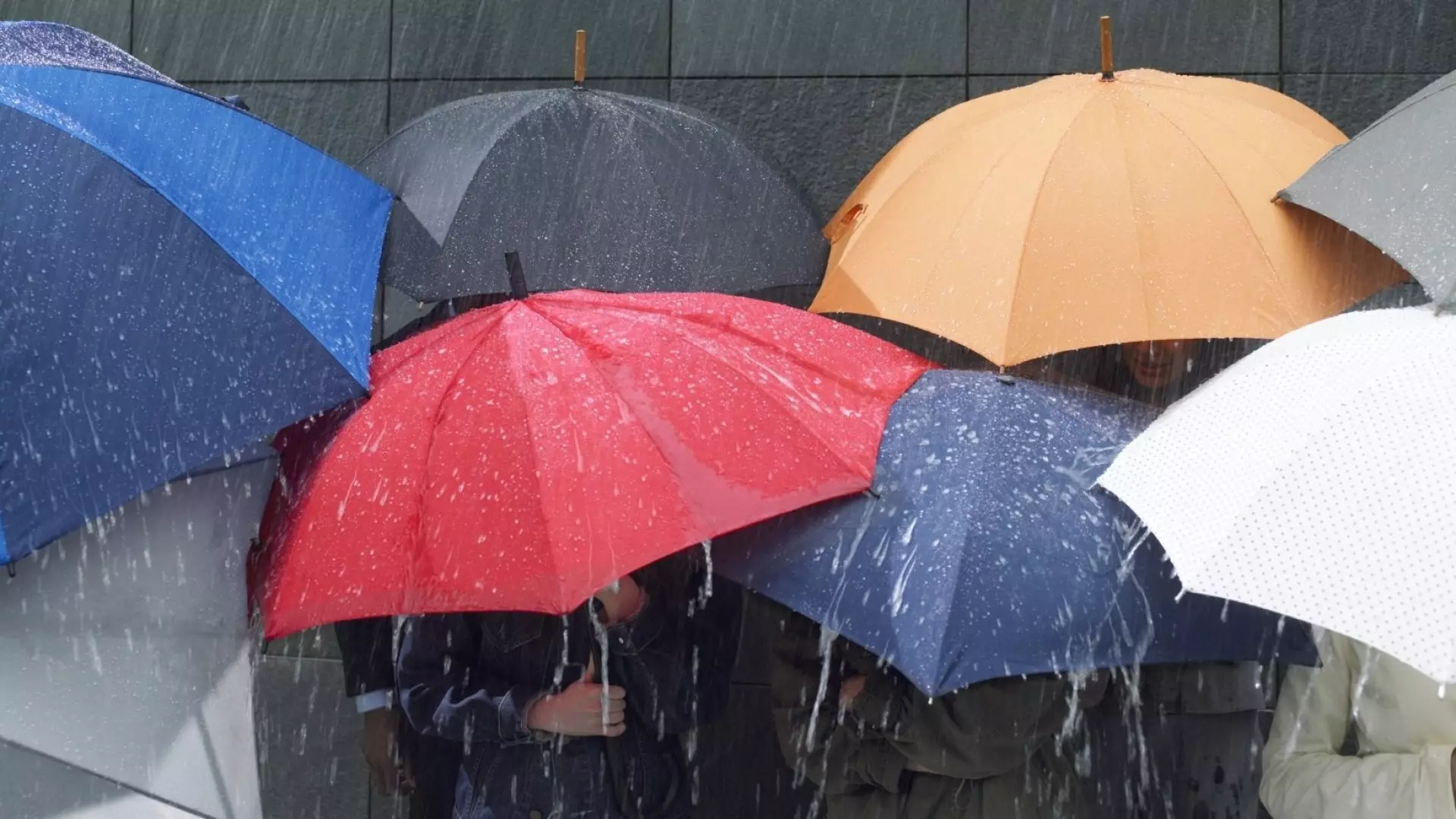 Uw bedrijf heeft een paraplu nodig voor die onvermijdelijke regenachtige dag.